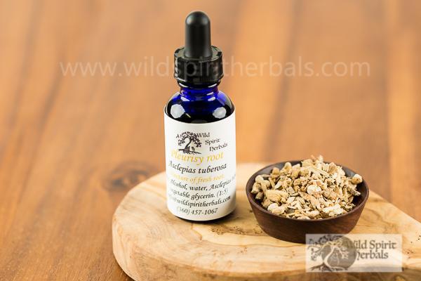 Pleurisy Root Tincture - Wild Spirit Herbals