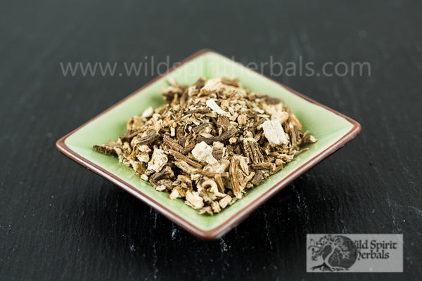Angelica - Wild Spirit Herbals