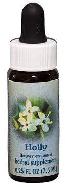 Holly Flower Essence - Wild Spirit Herbals